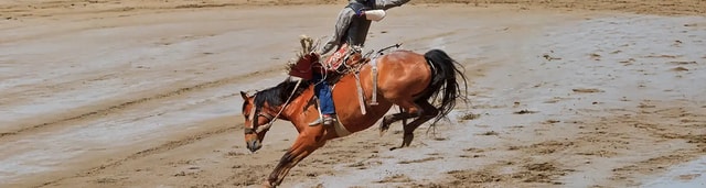 Calgary Stampede Rodeo Tickets - GMC Stadium (Calgary Stampede ...