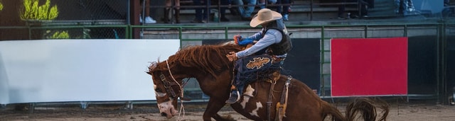 Jackson Hole Rodeo Tickets - Jackson Hole Rodeo Jackson, WY - 7/19/25 ...