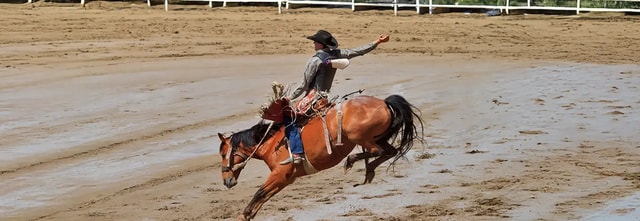 Calgary Stampede Rodeo Tickets - Calgary Stampede Rodeo Schedule and ...