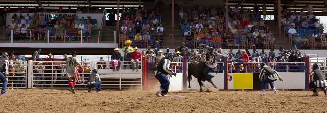 Angola Rodeo Tickets - Angola Rodeo Schedule and Seating Charts | GoTickets