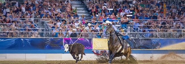 Reno Rodeo Tickets - Reno Rodeo Schedule and Seating Charts | GoTickets