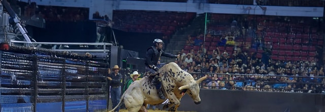PBR - Team Series Tickets - PBR - Team Series Schedule and Seating ...