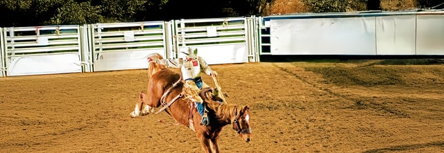 Rodeo Austin Tickets - Rodeo Austin Schedule and Seating Charts | GoTickets