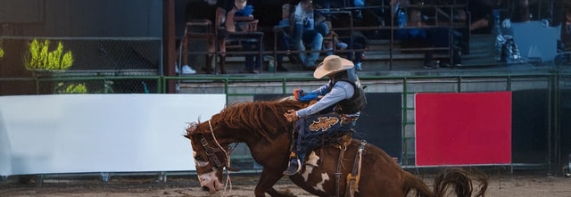 Jackson Hole Rodeo Tickets - Jackson Hole Rodeo Schedule and Seating ...