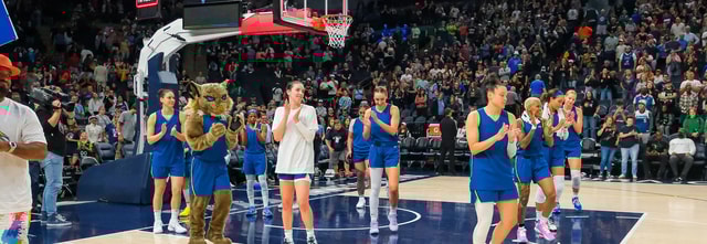 Minnesota Lynx Parking Tickets - Minnesota Lynx Parking Schedule and ...