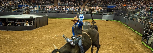 PBR - Challenger Series Tickets - PBR - Challenger Series Schedule and ...