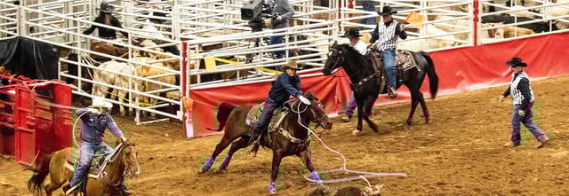 San Antonio Stock Show and Rodeo Parking Tickets - San Antonio Stock ...