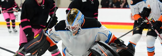 San Diego Gulls Tickets - San Diego Gulls Schedule and Seating Charts ...