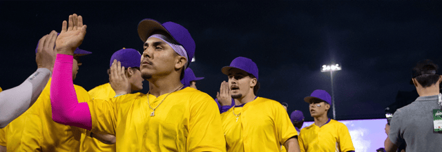 LSU Tigers Baseball Tickets - LSU Tigers Baseball Schedule and Seating ...